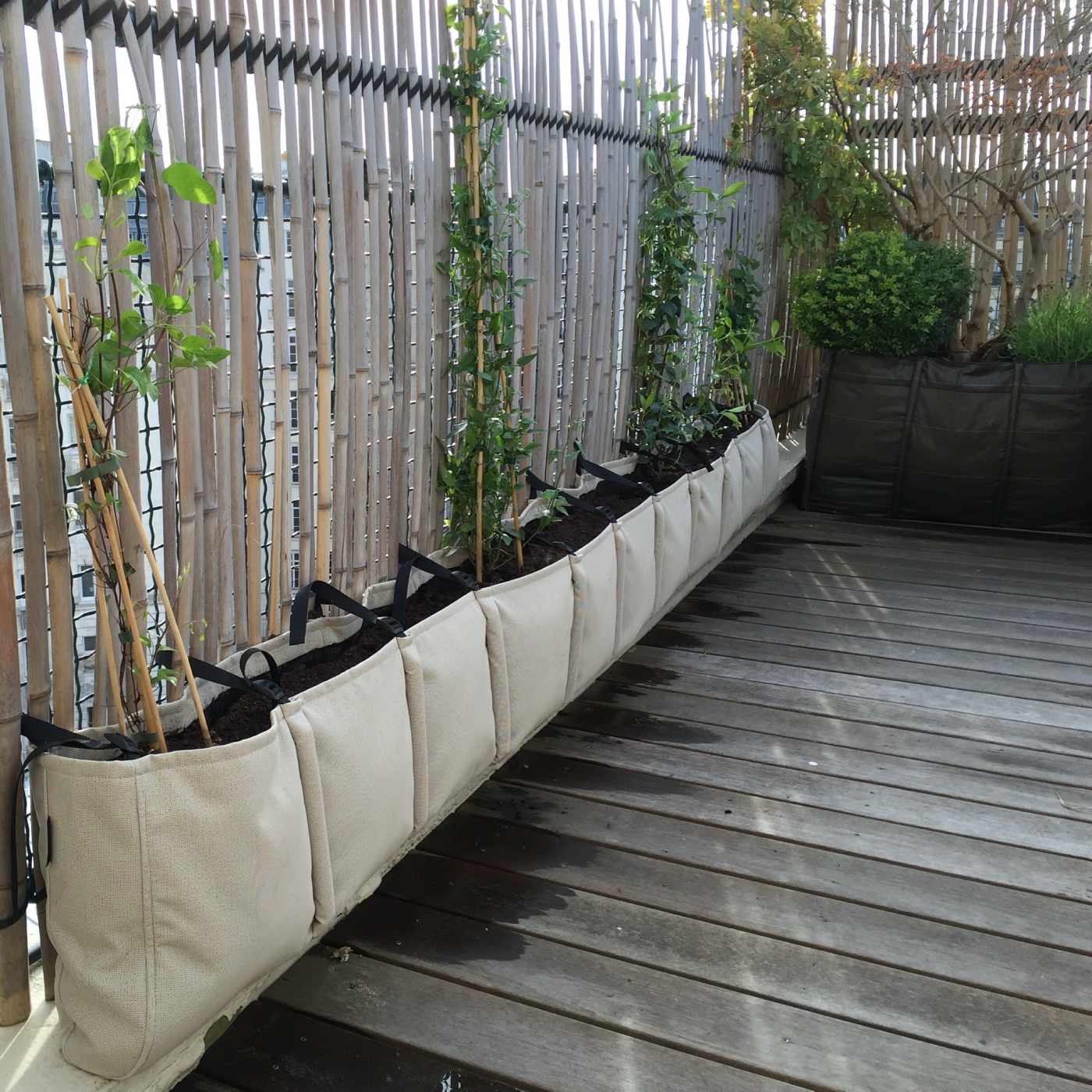 Fabric custom planter in colored canvas to hang or stand | Bacsac®