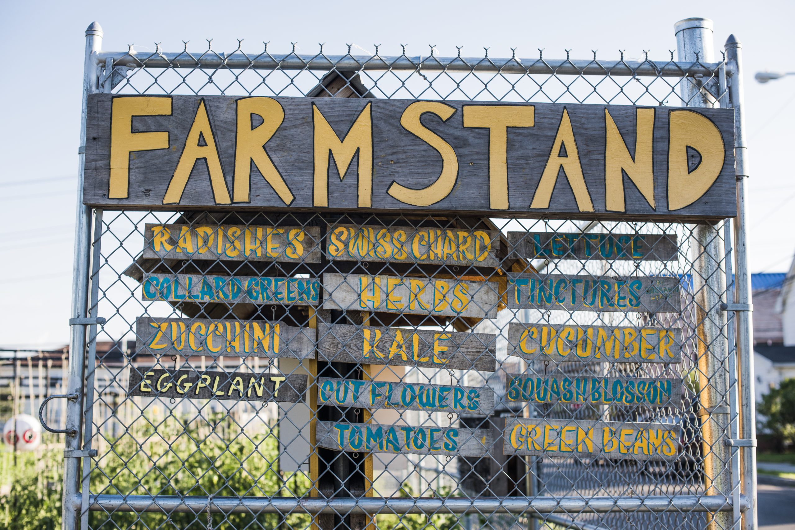 Valery Rizzo - BACSAC