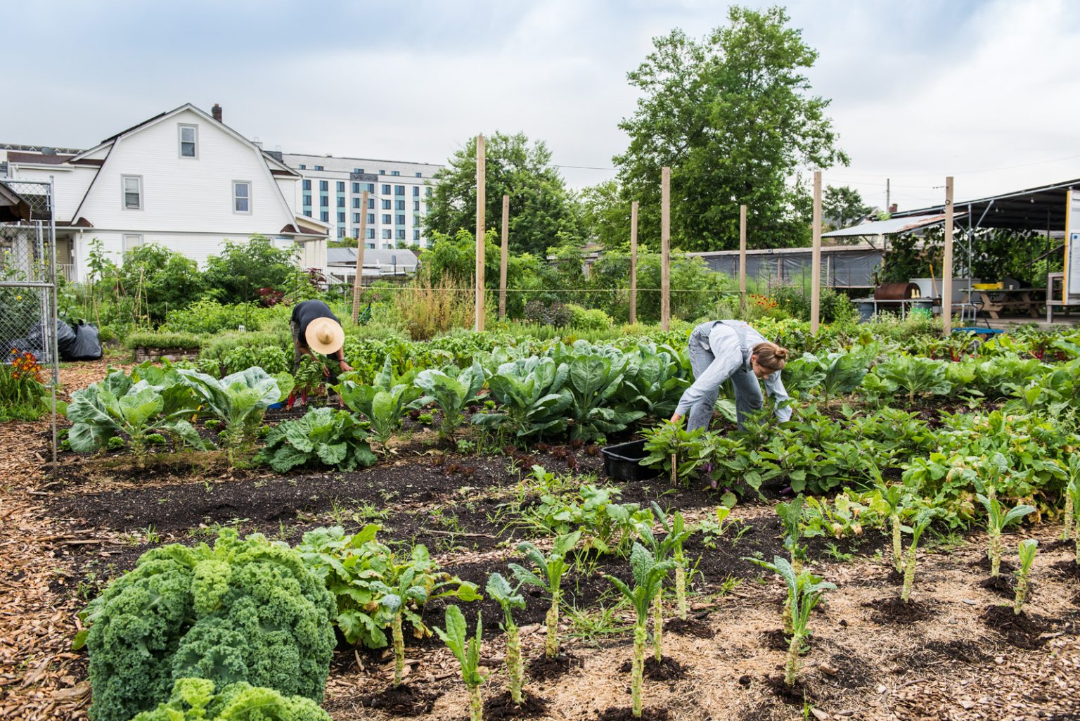 Valery Rizzo - BACSAC